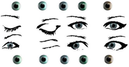 Free Vector Eyes