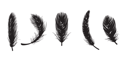 Feather free vectors