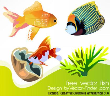 Free Vector Fish – Carp