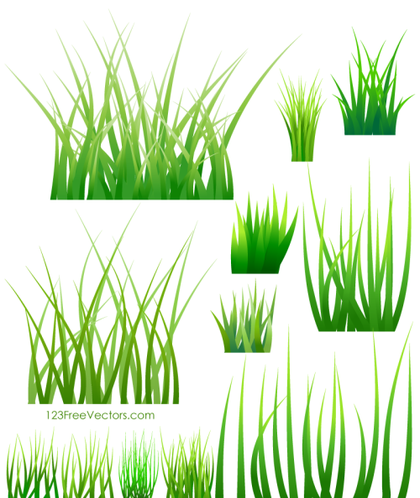 Free Vector Grass