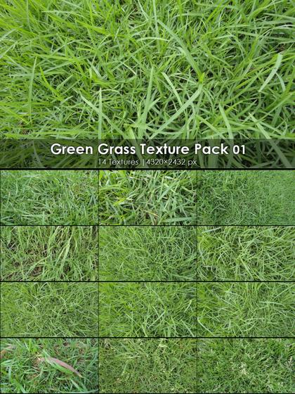 Free Vector Grass