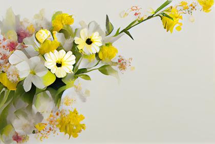 Free Download Yellow and White Flower Card Background Image