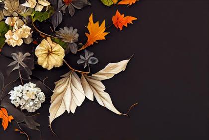 Free Download Flower Card Background Image