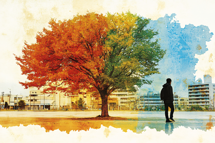 Free Download Tree Representing Four Seasons with a Person Standing